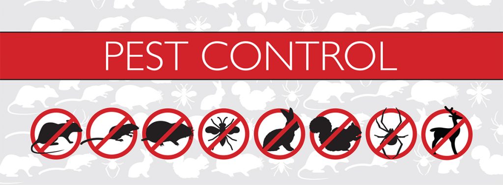 About Us - Surrey Wildlife and Pest Control